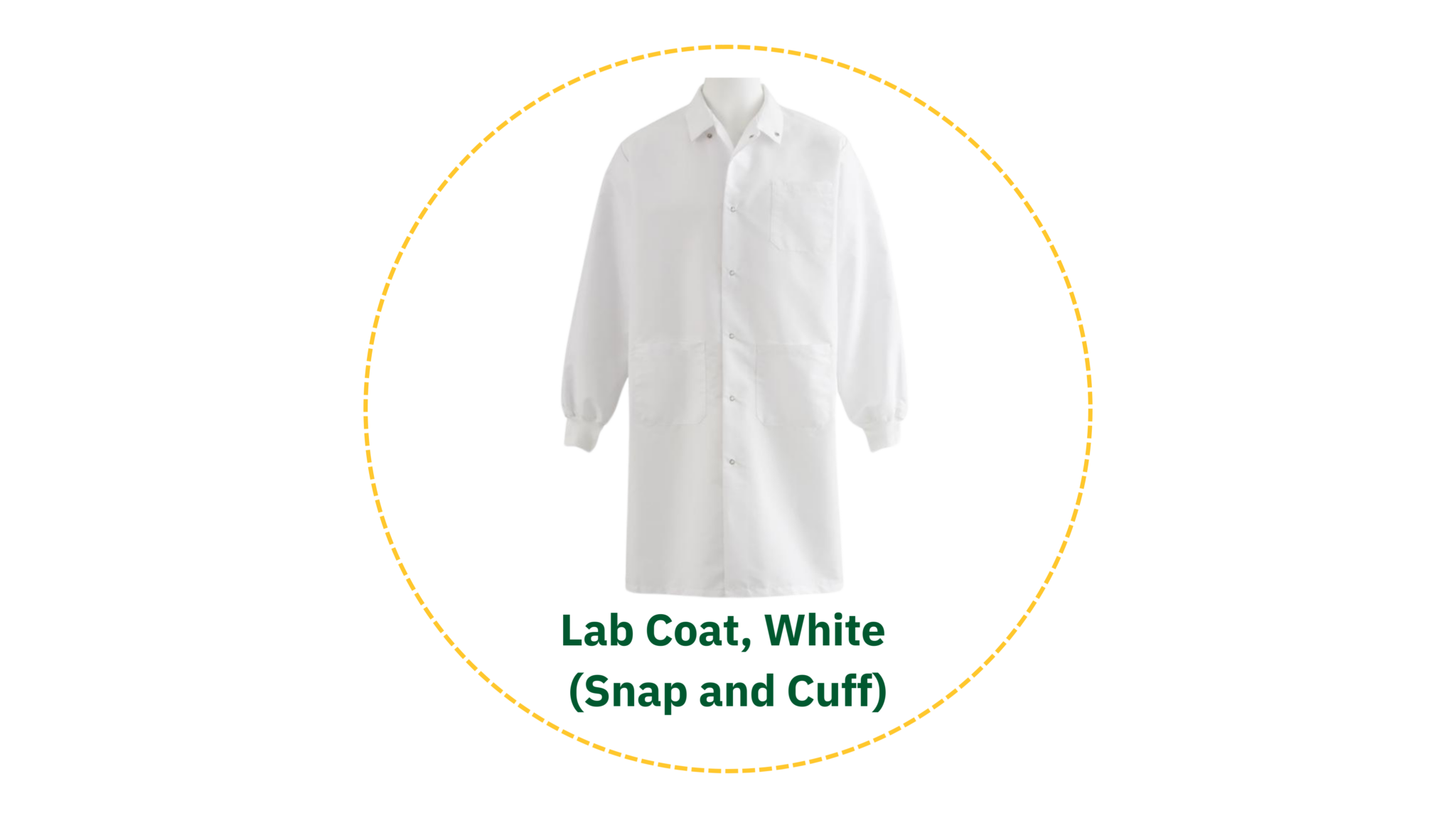 Dental White Coat Program